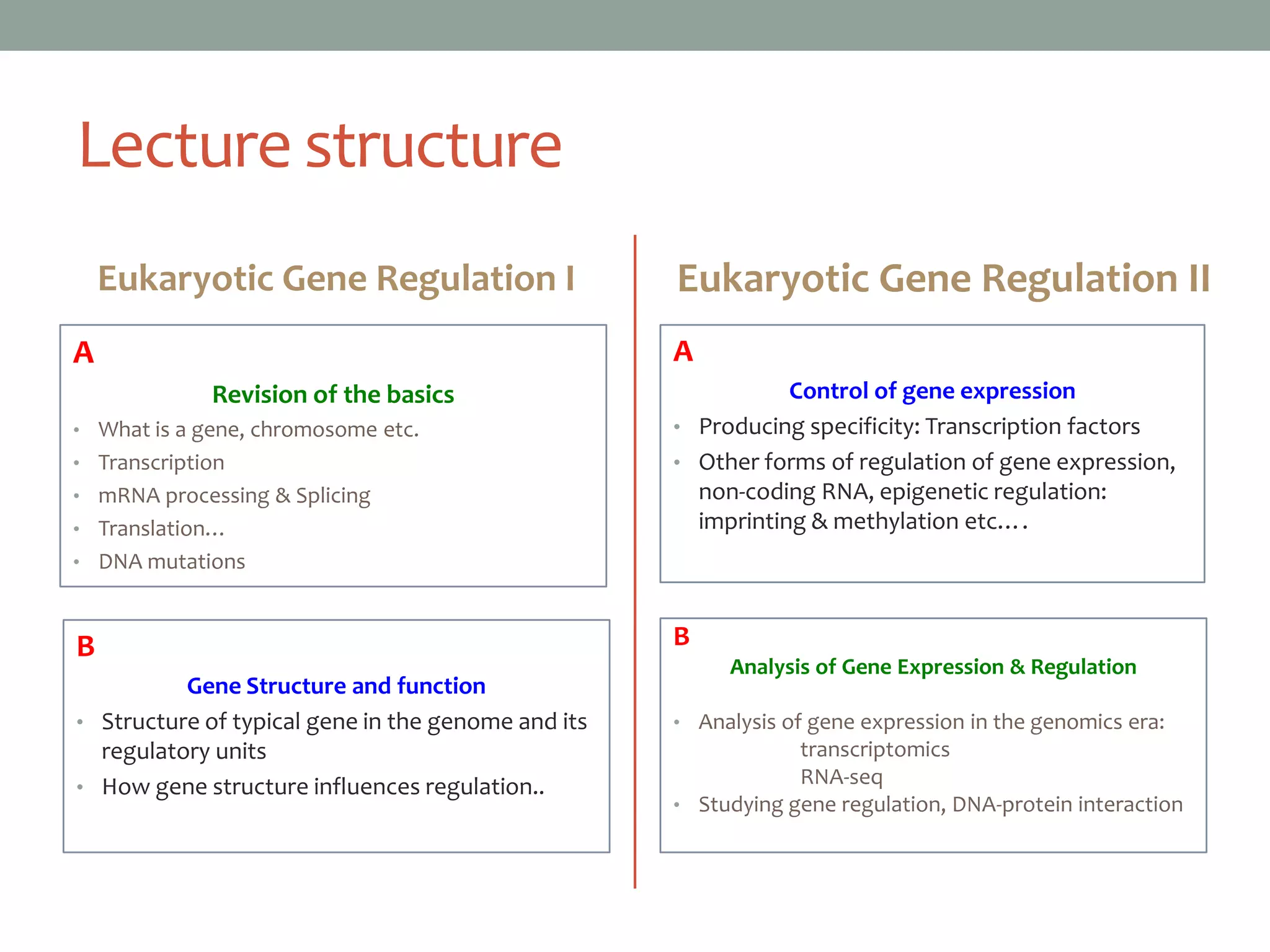 Eukaryotic gene regulation PART II 2013 | PPTX