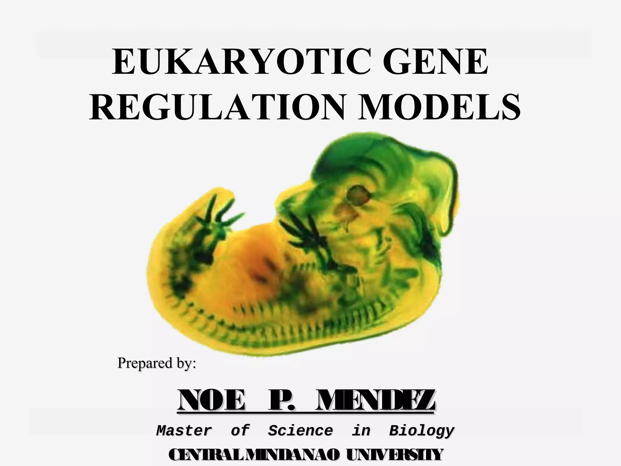 Eukaryotic gene regulation models (by np mendez) | PPT