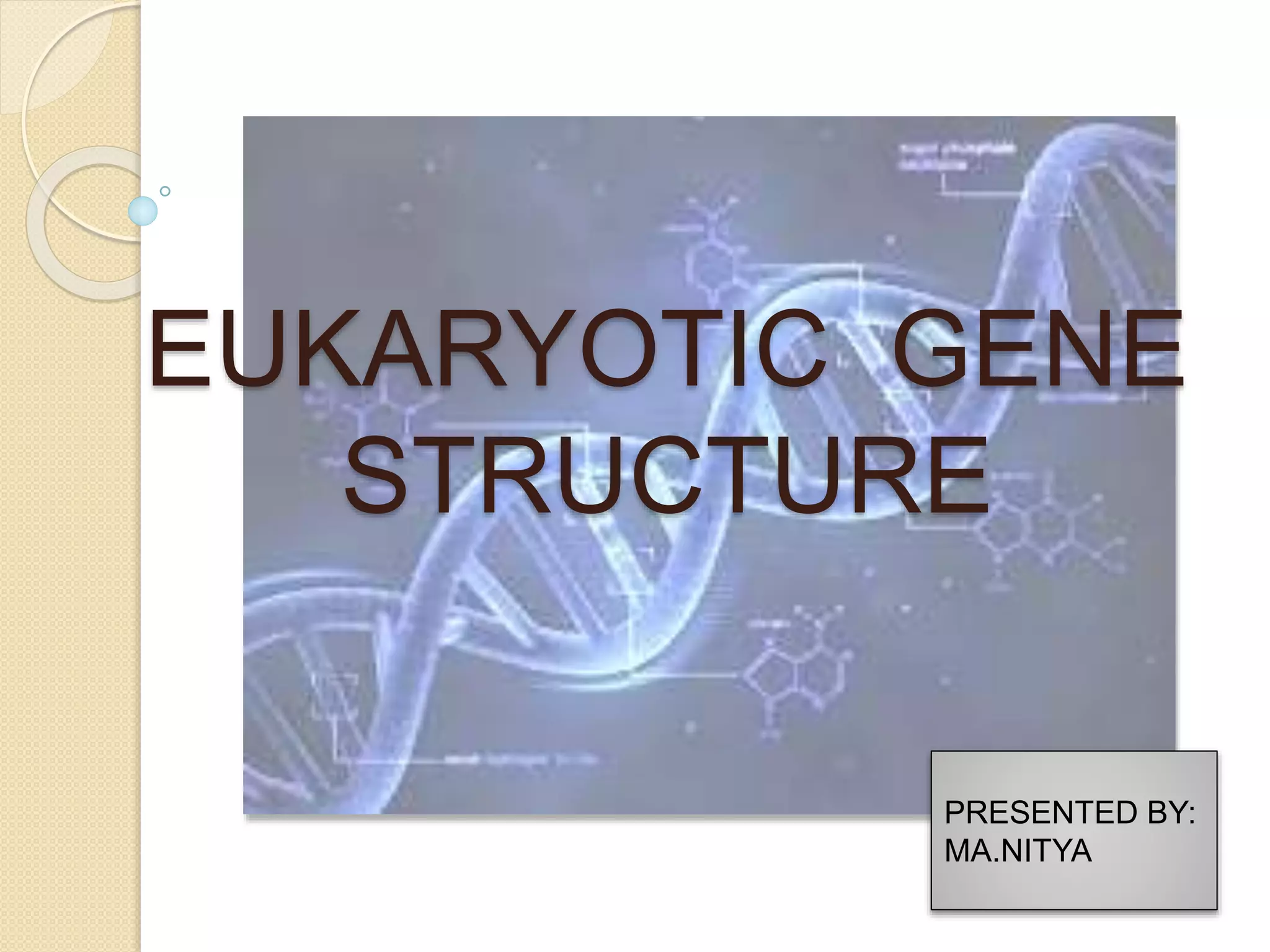 EUKARYOTIC GENE STRUCTURE | PPTX
