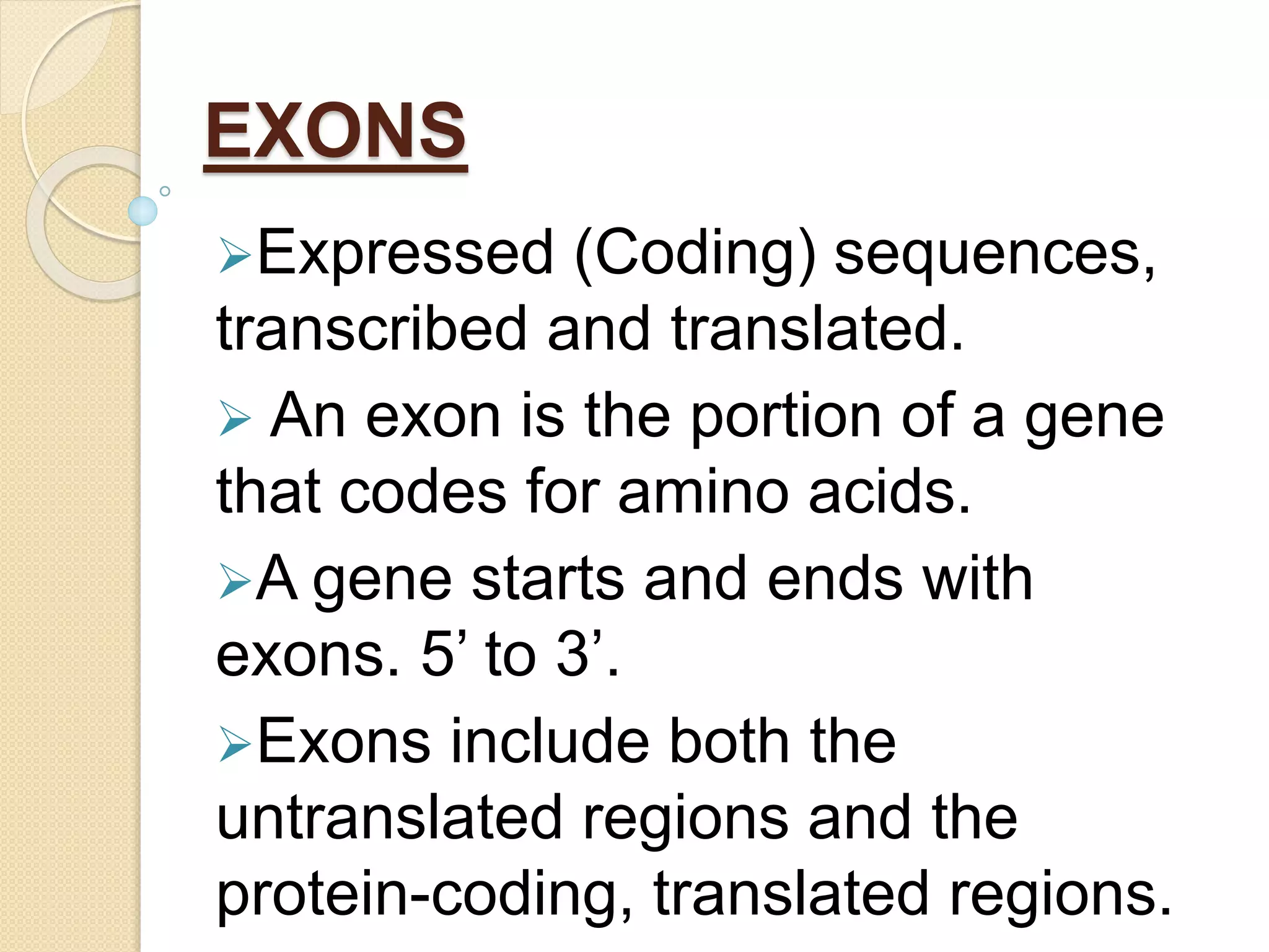 EUKARYOTIC GENE STRUCTURE | PPTX