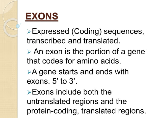 EUKARYOTIC GENE STRUCTURE | PPTX | Genetics | Science