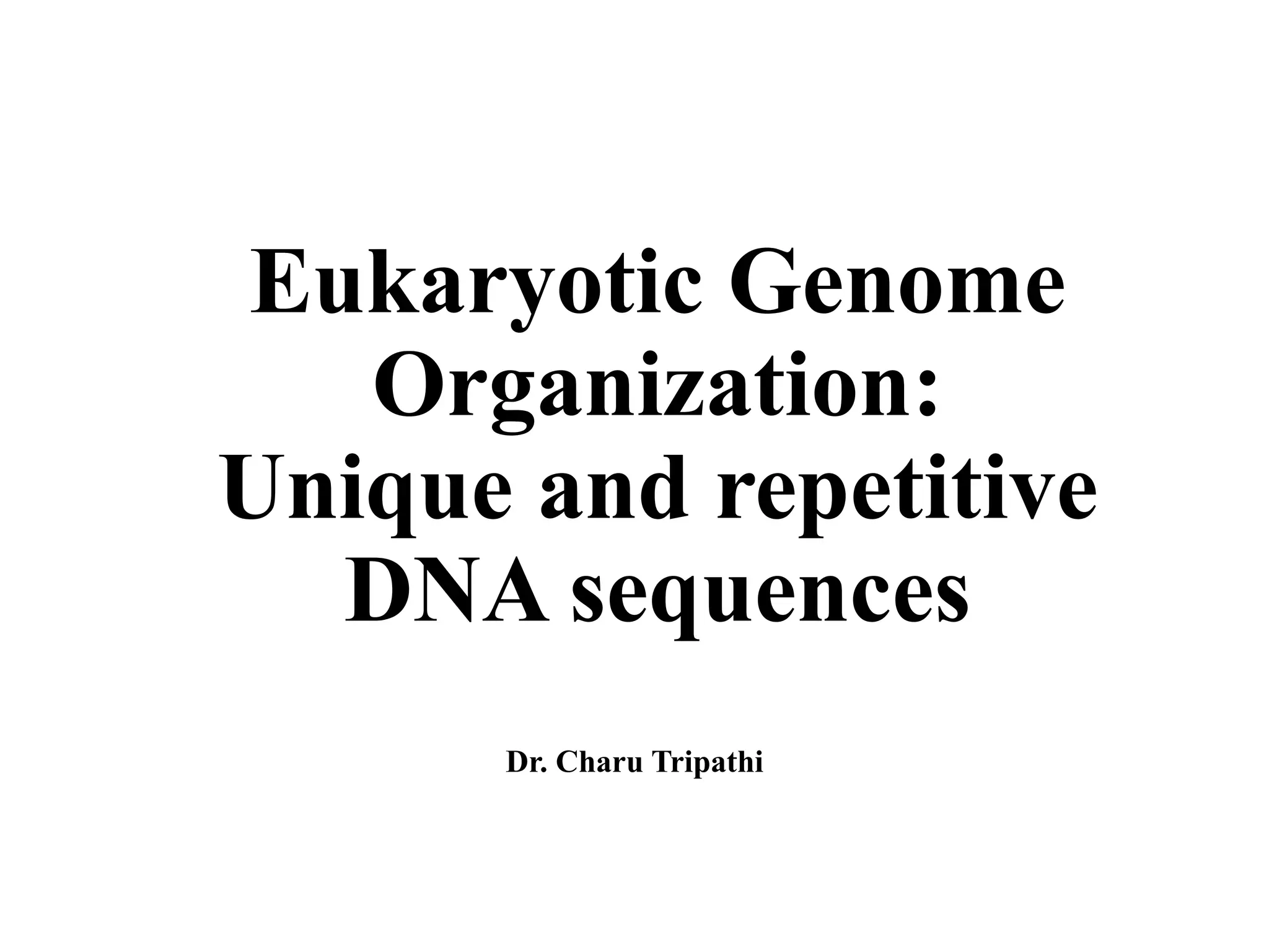 Eukaryotic Genome Organization | PDF