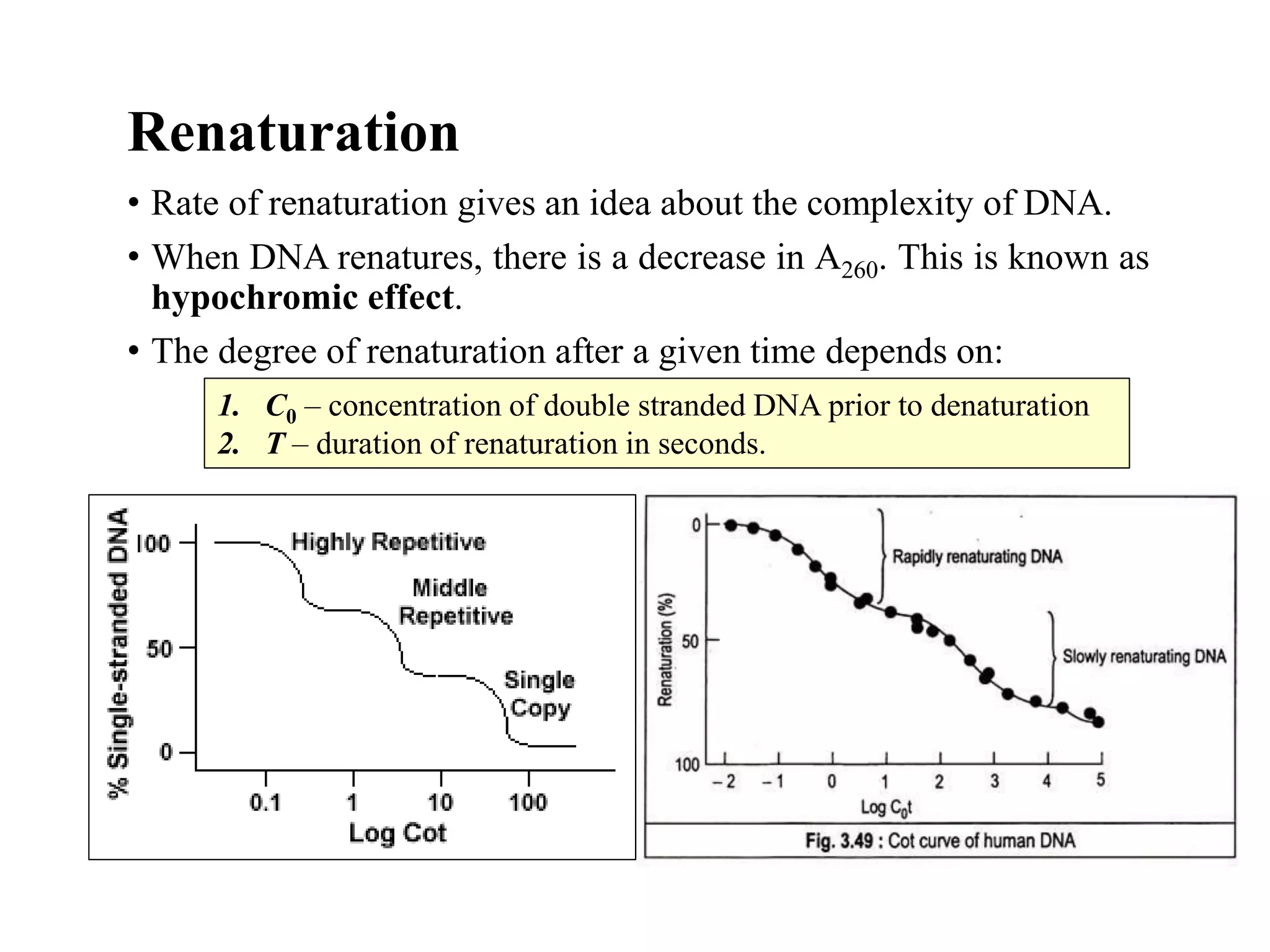 Eukaryotic Genome Organization | PDF