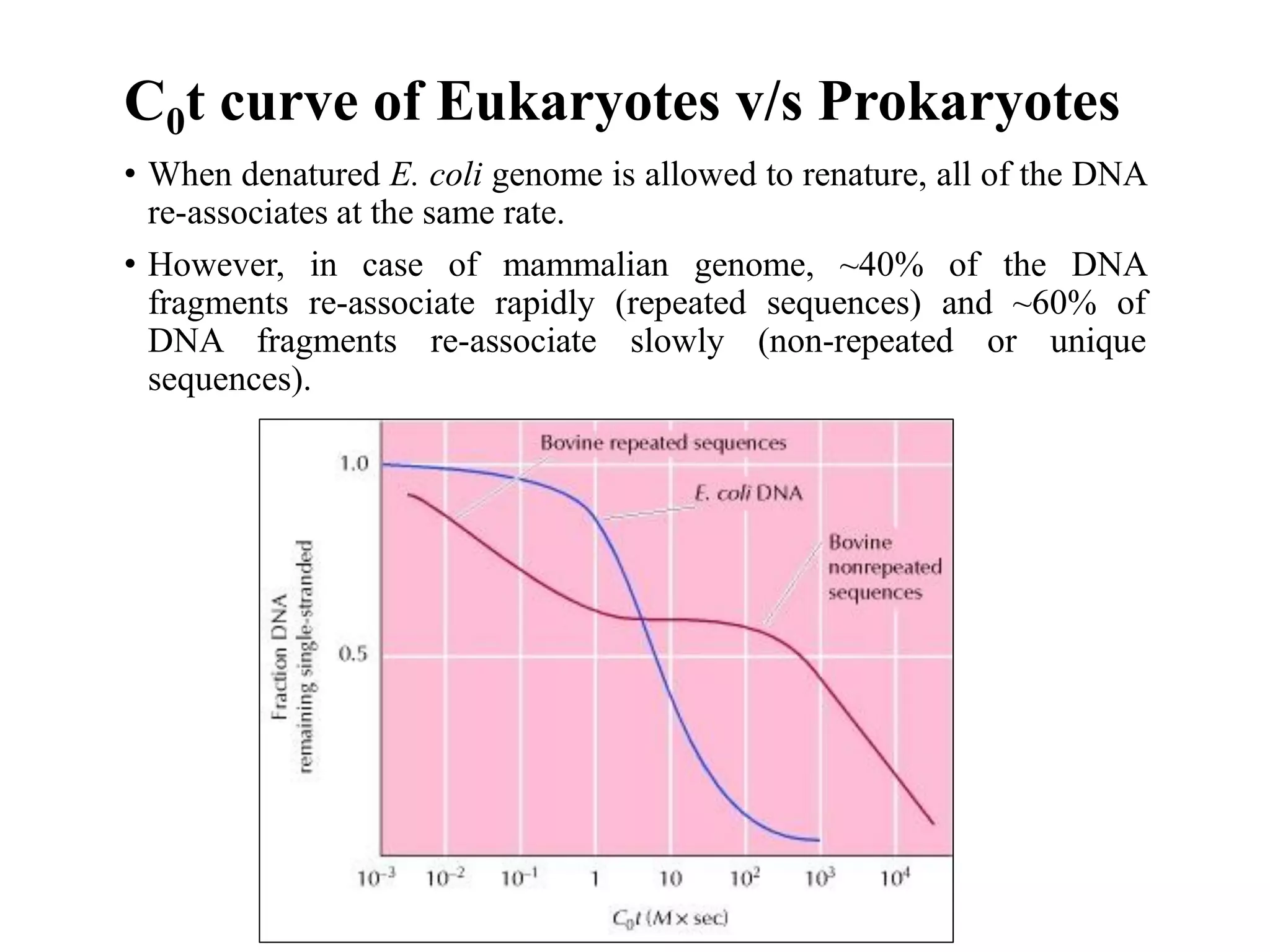 Eukaryotic Genome Organization | PDF