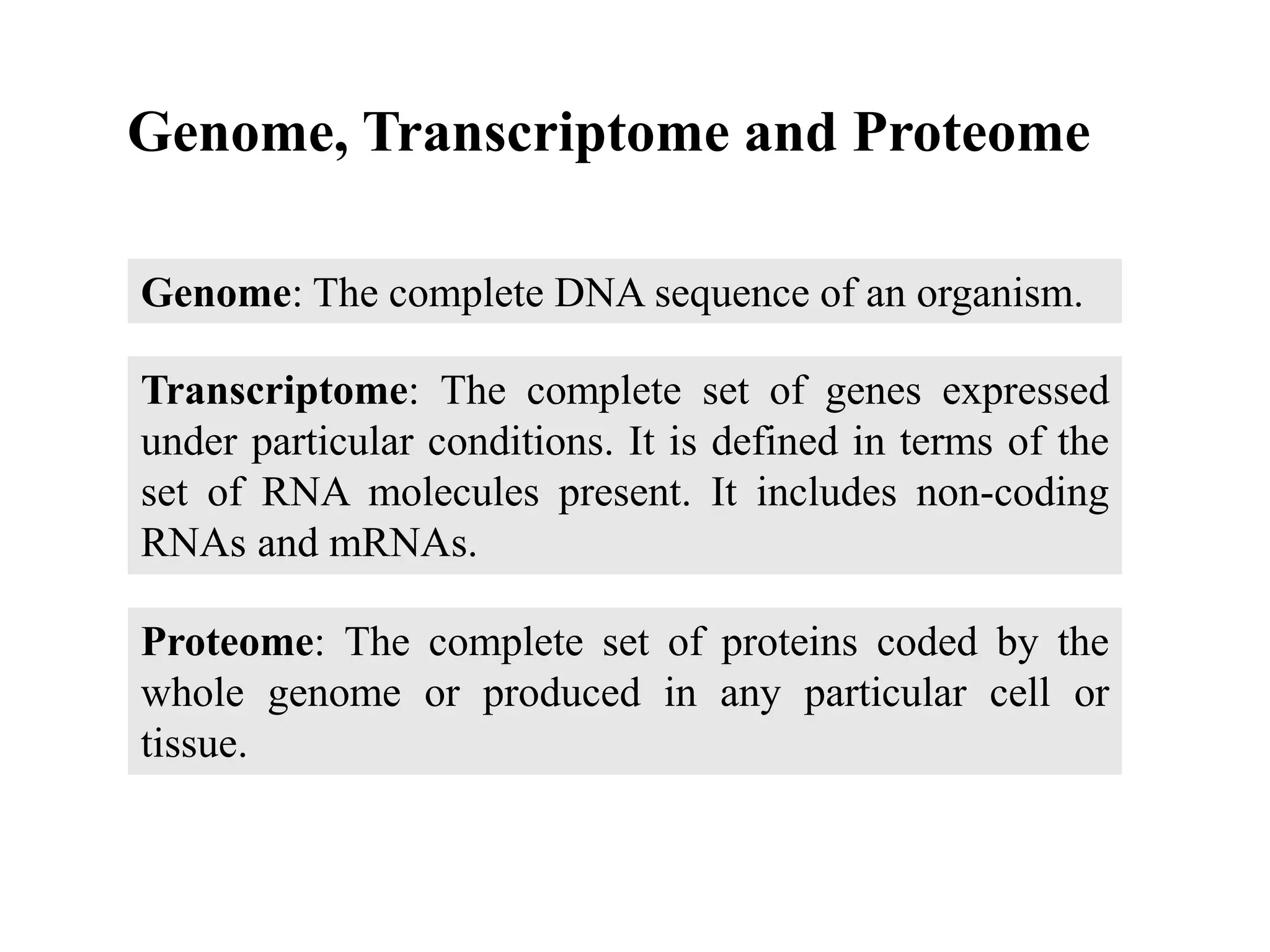 Eukaryotic Genome Organization | PDF