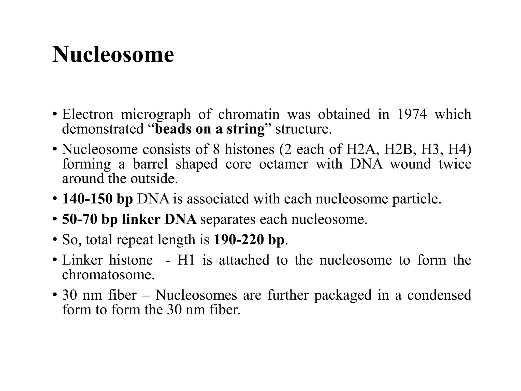 Eukaryotic Genome Organization | PDF