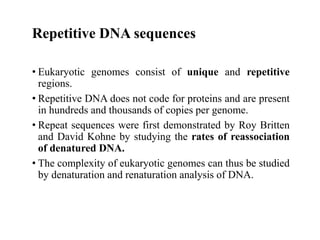 Eukaryotic Genome Organization | PDF