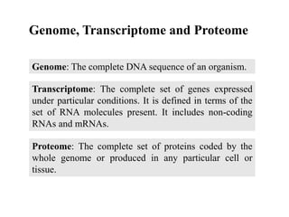Eukaryotic Genome Organization | PDF