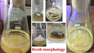 Eukaryotic microbiology lab Dos and Donts.pptx