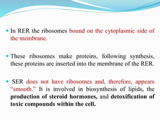 Eukaryotic microorganisms salient features | PPTX | Biological Sciences ...