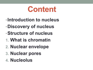 Eukaryotic nucleus | PPT