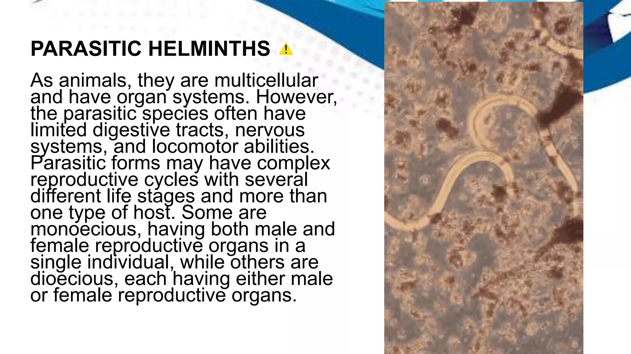 EUKARYOTIC PARASITES.pptx