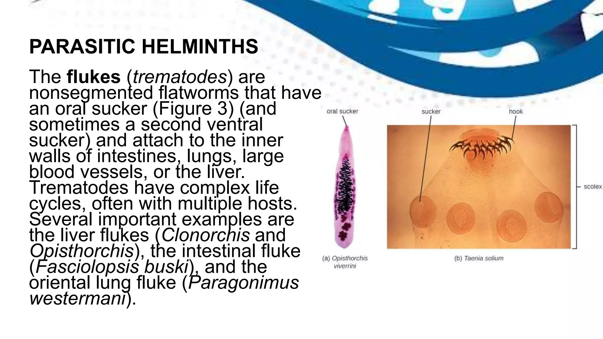 EUKARYOTIC PARASITES.pptx