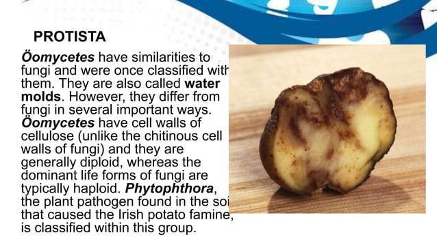 EUKARYOTIC PARASITES.pptx | Geography | Science