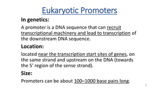 Eukaryotic promoters | PPTX