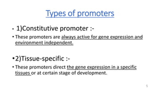 Eukaryotic promoters | PPTX