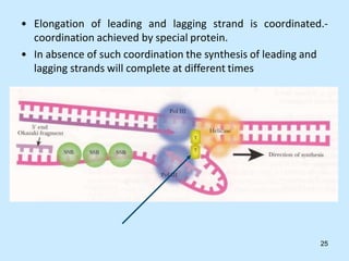 Eukaryotic replication | PPTX