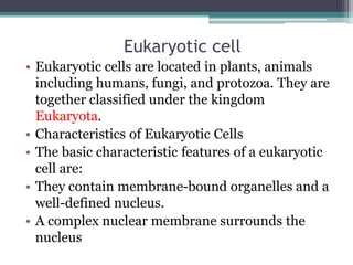 eukaryotics.pptx