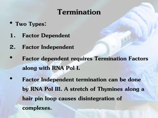 Eukaryotic transcription | PPTX