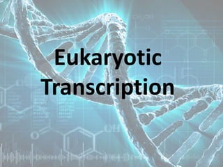 Eukaryotic transcription | PPTX