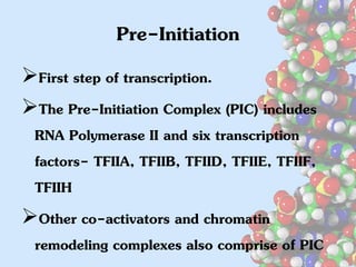 Eukaryotic transcription | PPTX