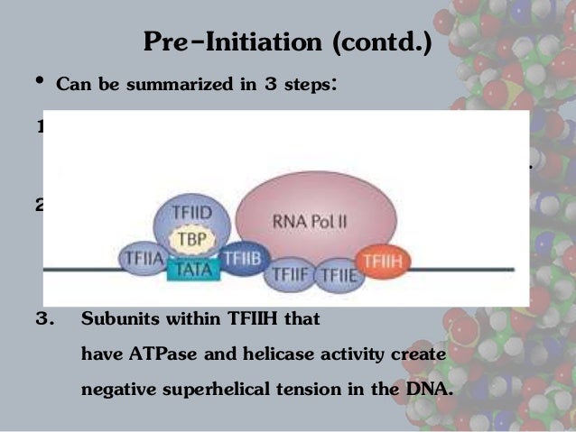 Eukaryotic transcription