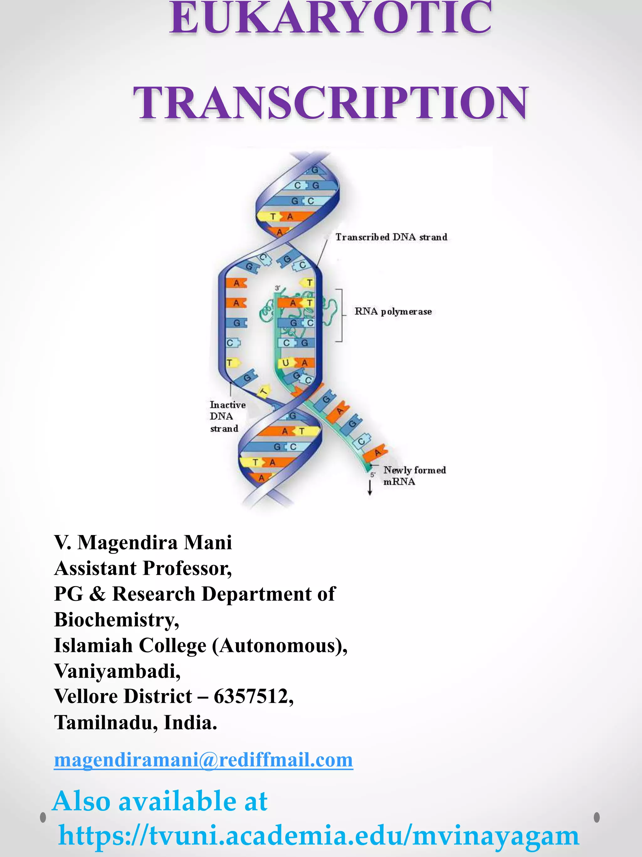 Eukaryotic transcription | PDF