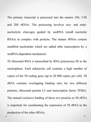 Eukaryotic transcription | PPTX