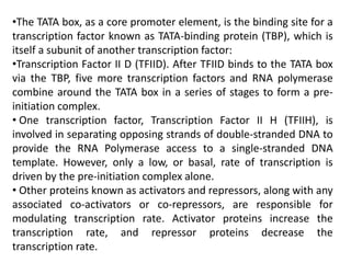 Eukaryotic transcription | PPTX