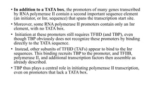 Eukaryotic transcription | PPTX