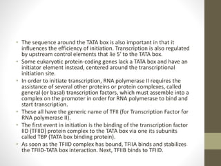 EUKARYOTIC TRANSCRIPTION.pptx