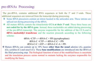Eukaryotic Transcription Presentation.pptx