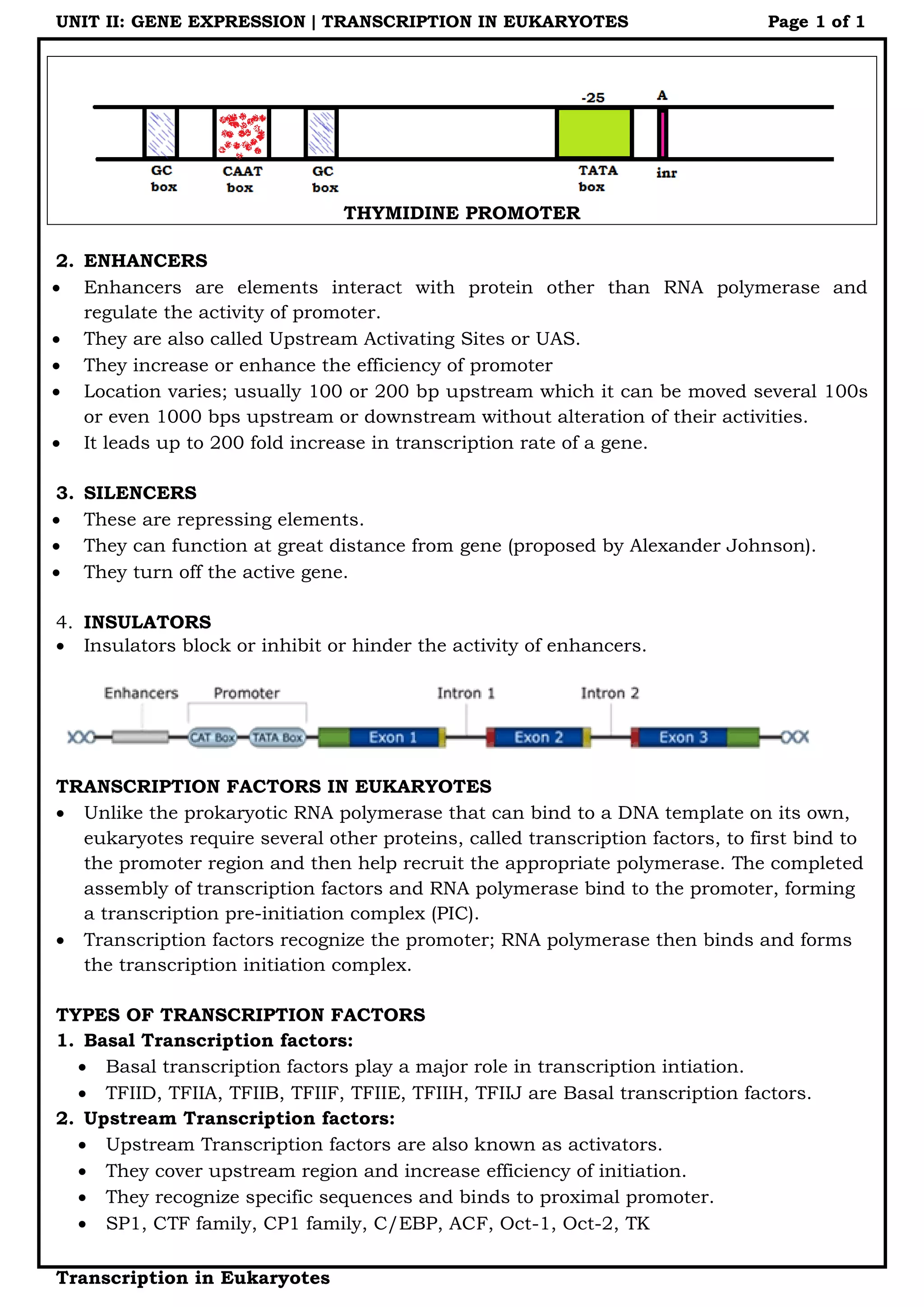 Eukaryotic transcription | PDF