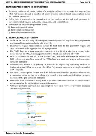 Eukaryotic transcription | PDF