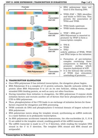 Eukaryotic Transcription Steps