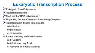 Eukaryotic transcription 2 | PPTX