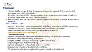 Eukaryotic Transcription Factors by Akash Mahakur (10.05.2025).pptx