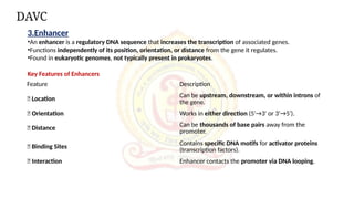 Eukaryotic Transcription Factors by Akash Mahakur (10.05.2025).pptx