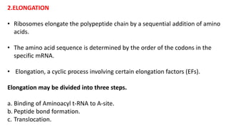 eukaryotic translation.pptx