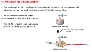 eukaryotic translation.pptx
