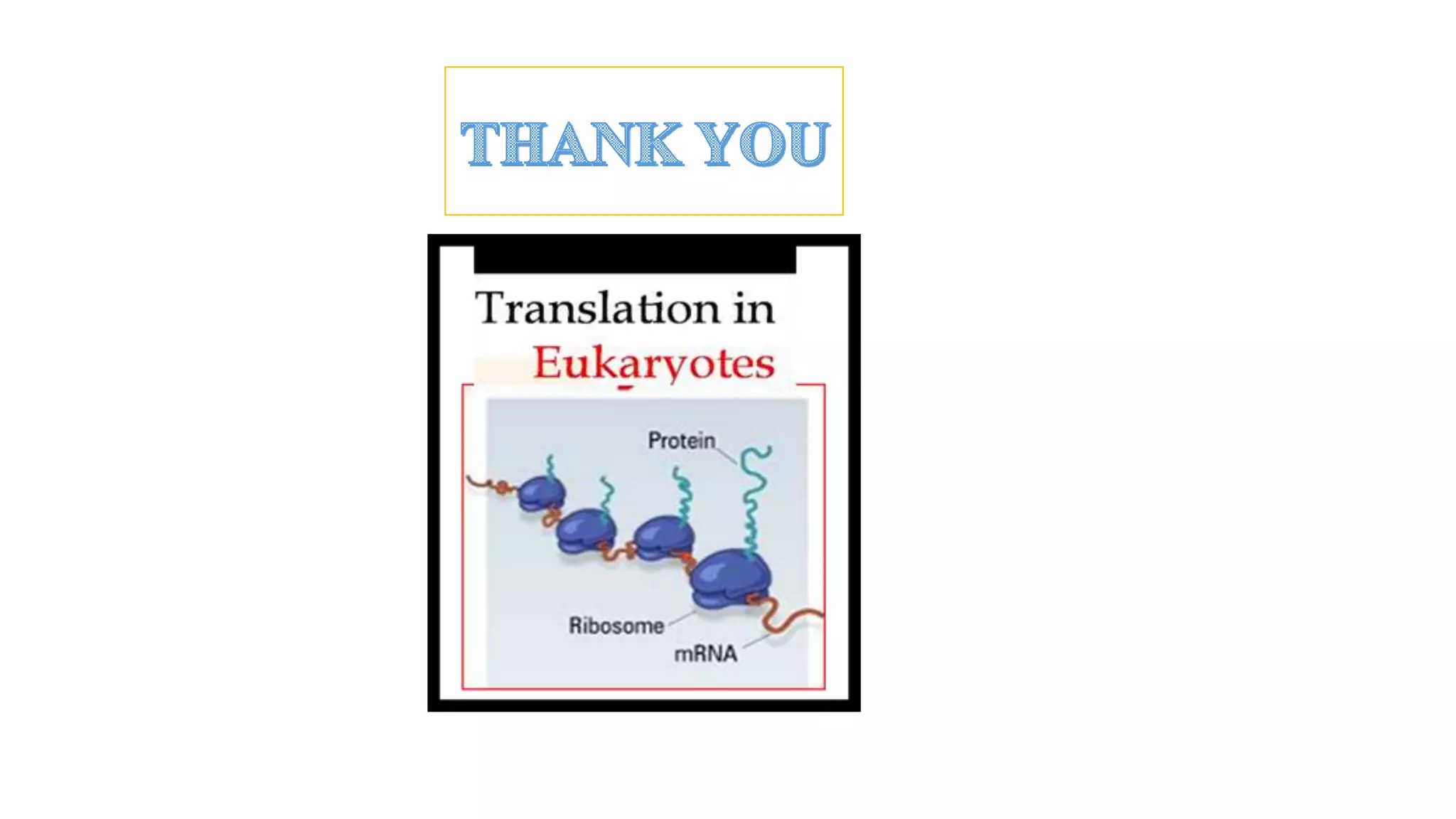 Eukaryotic translation pathway | PPTX