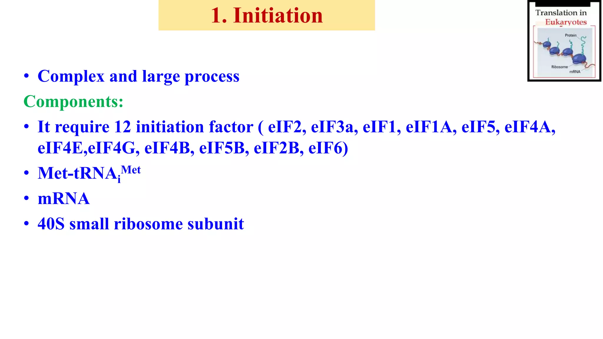 Eukaryotic translation pathway | PPTX