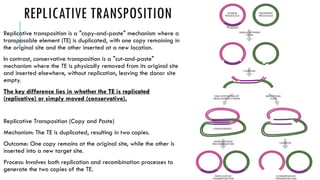 EUKARYOTIC TRANSPOSONS: Class I and Class II | PPTX