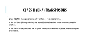 EUKARYOTIC TRANSPOSONS: Class I and Class II | PPTX