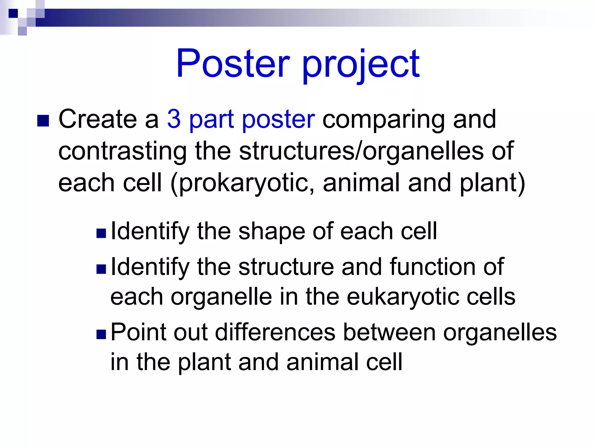 Eukaryotic vs Prokaryotic Cells.ppt