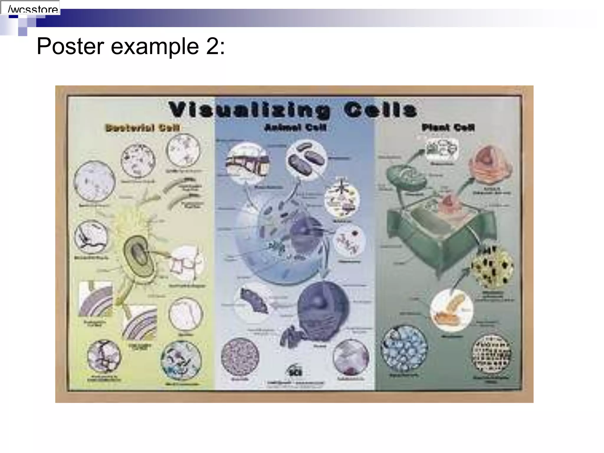 Eukaryotic vs Prokaryotic Cells.ppt