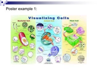 Eukaryotic vs Prokaryotic Cells.ppt