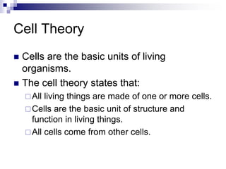 Eukaryotic vs Prokaryotic Cells.ppt | Free Download