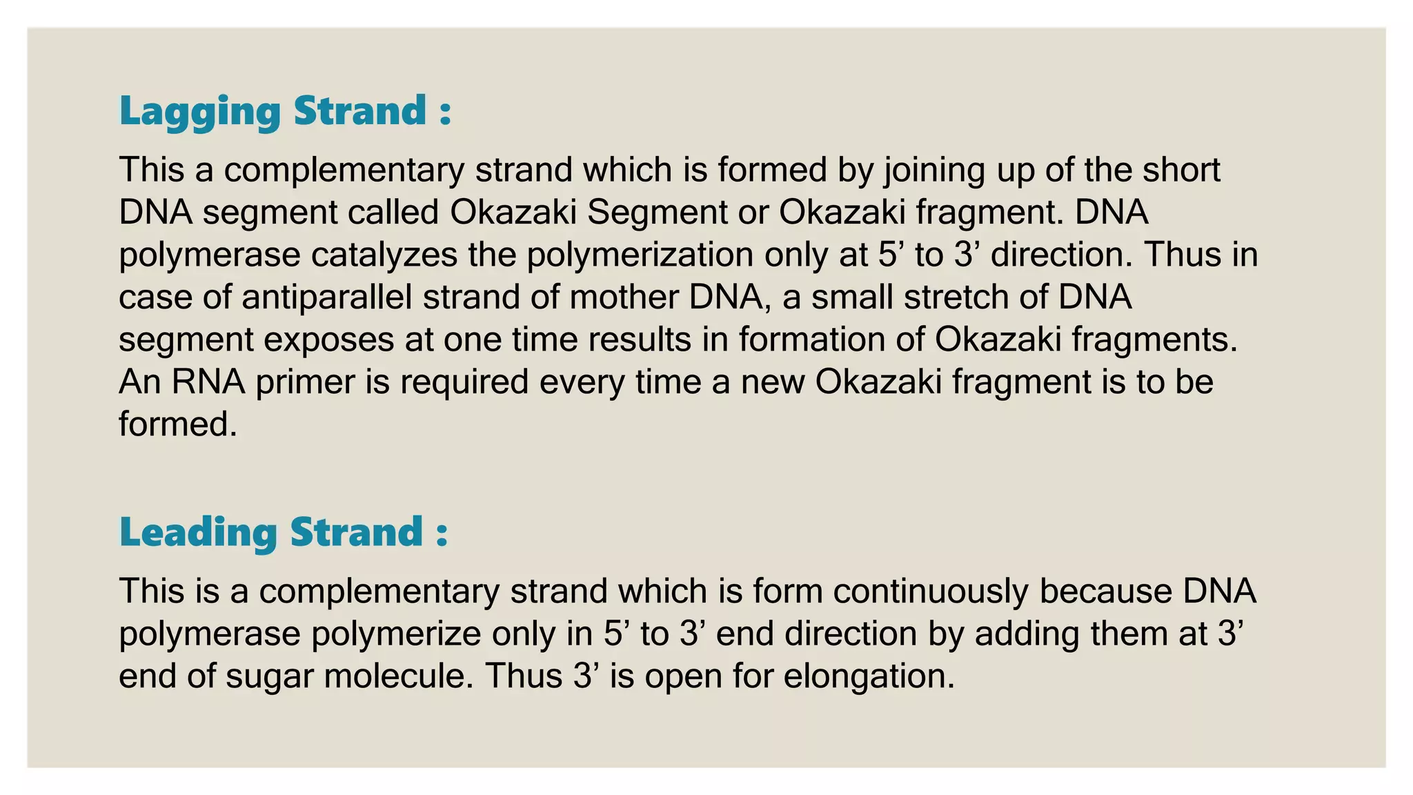 eukaryotik dna elongation.pptx