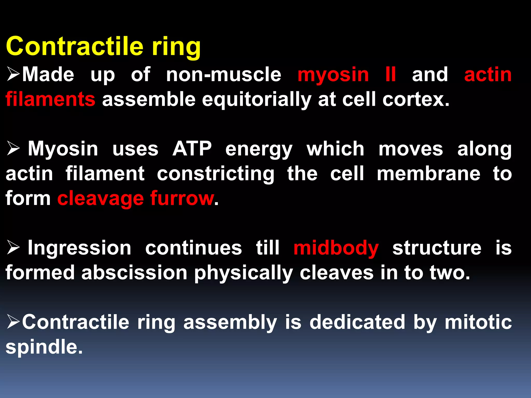 Eukayotic_cell_cycle Prashant.ppt | Biological Sciences | Science